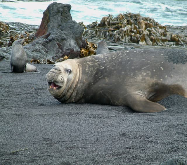 How ocean currents helped Dr Adele Morrison find her own path