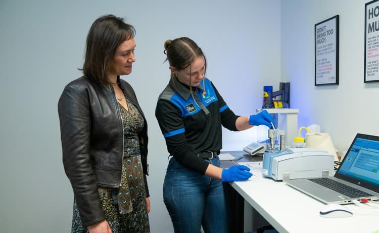 What is pill testing and how does it work?