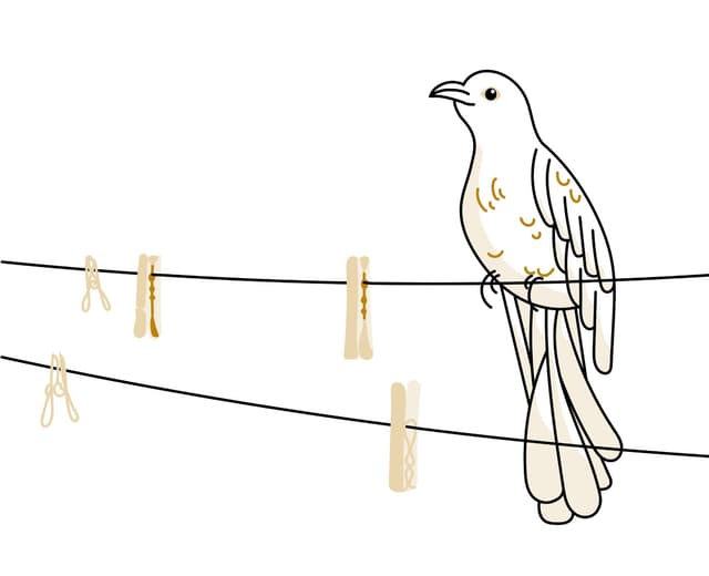 Tabitha Carvan - ANU Reporter