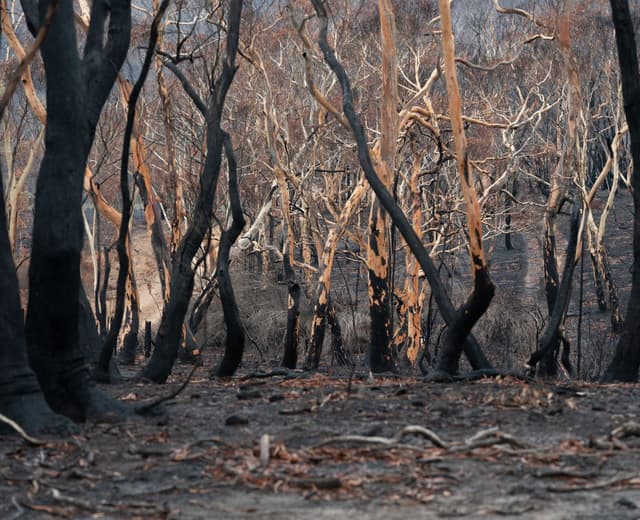 How much would it cost to fix Australia's environment?