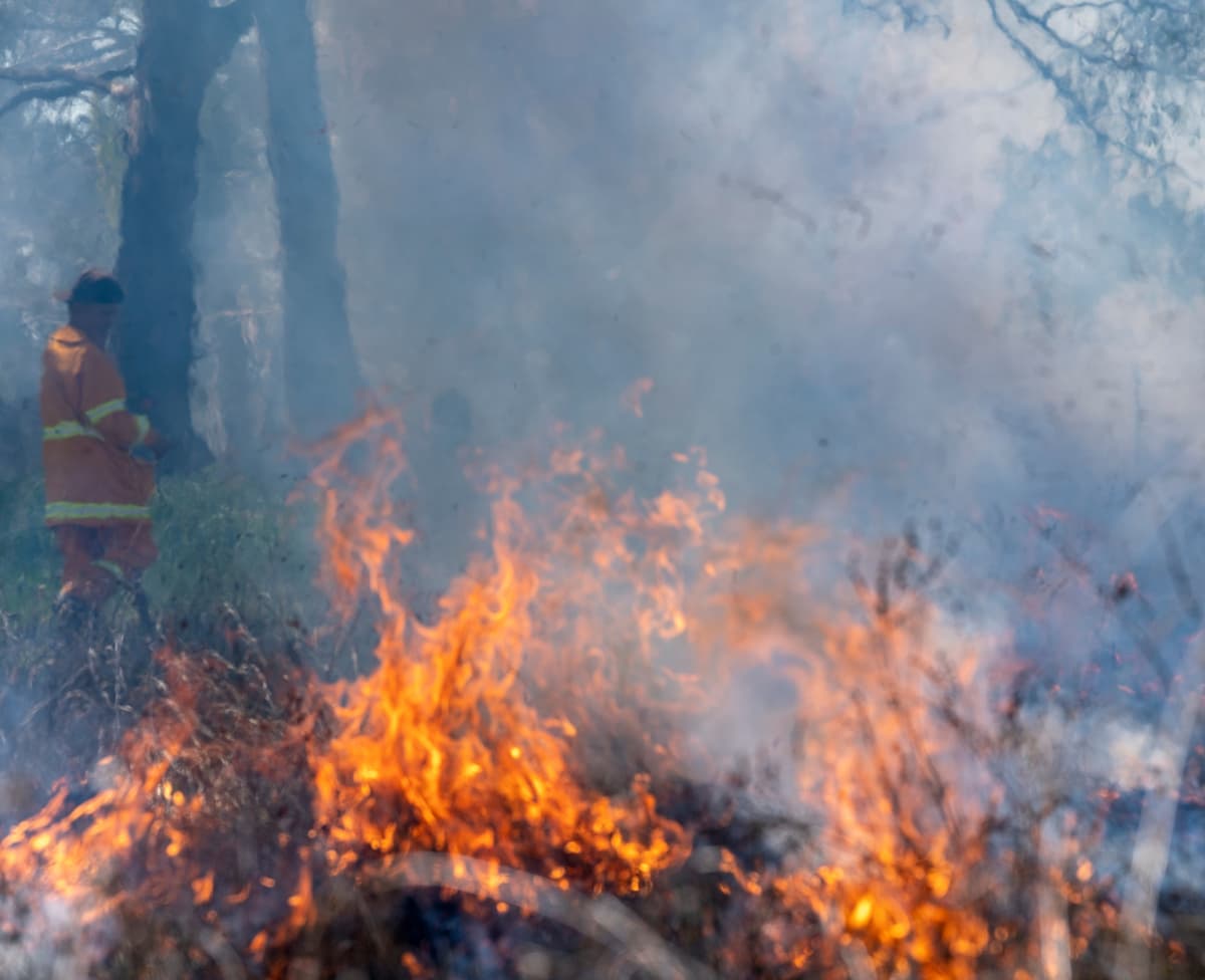 Indigenous cultural burning has protected Australia’s landscape for ...