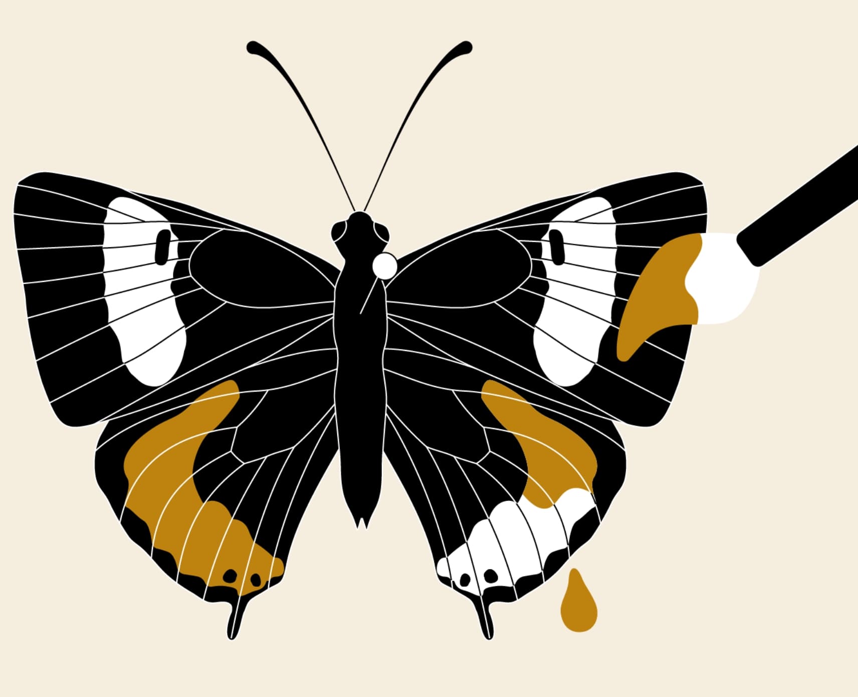 The museum heist that is still causing a flutter in butterfly science
