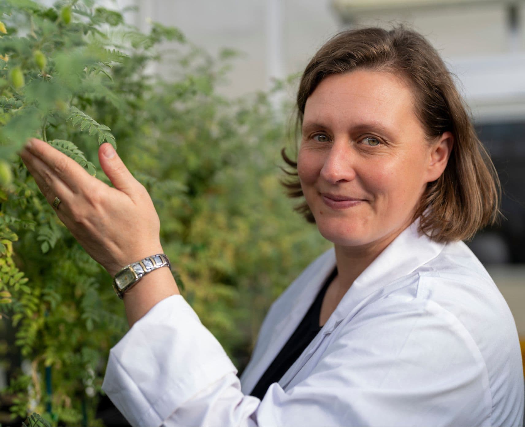 How plants could help power the green energy transition
