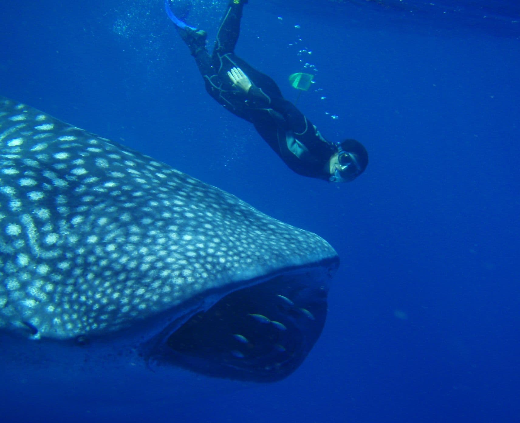 Climate crisis puts Australia's ski industry on slippery slope, but not ...