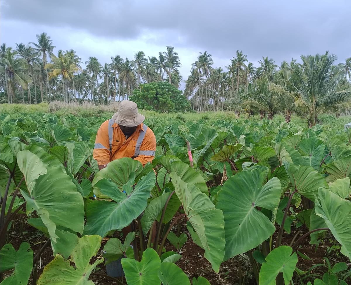 South Korea’s struggle to defeat dictatorship
